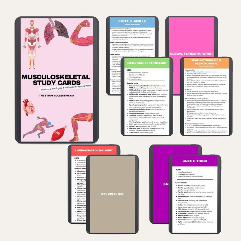 Musculoskeletal Study Cards: Anatomy & Exercise Physiology (PDF ...