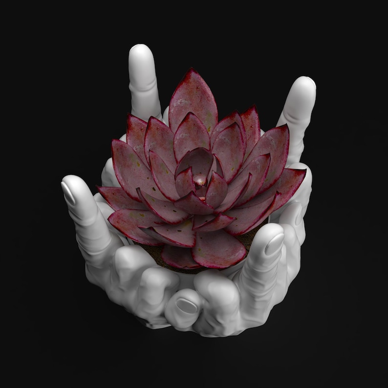 Gothic Middle Finger Planter - Unique Hand Shaped Pot With Drainage ...