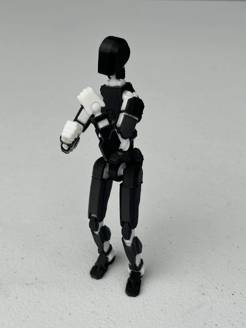 Dummy 13 Action Figure: 3D Printed Articulating Toy With Accessories - Etsy