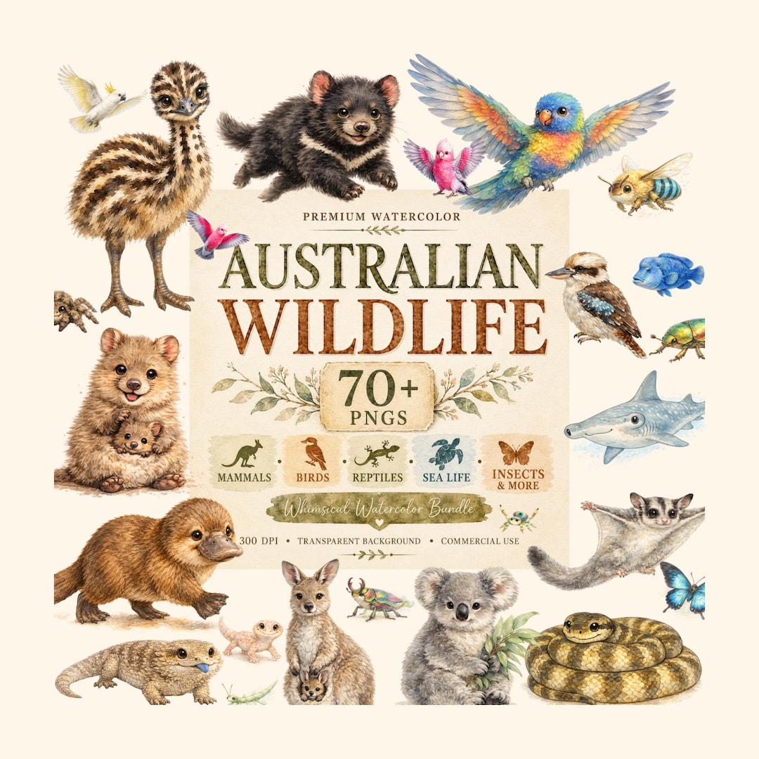 Australian Watercolor Animals Clipart Bundle | 70+ PNG Files | Wildlife ...