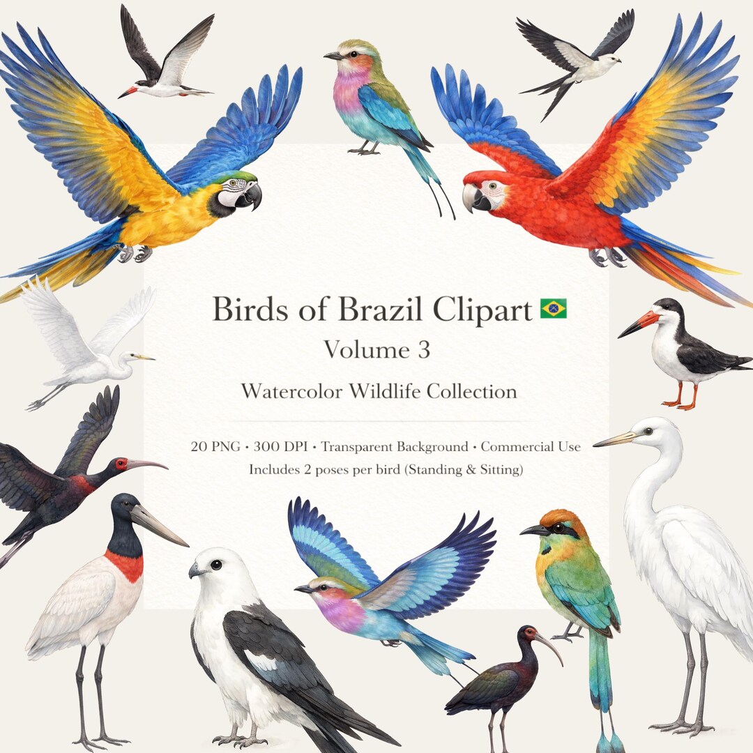 Birds of Brazil Clipart – Volume 3 | Watercolor Wildlife PNG Bundle ...