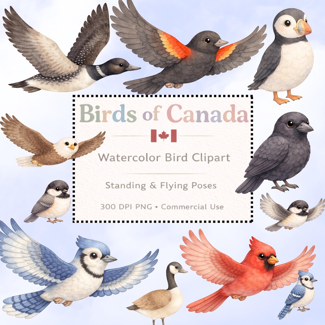 Birds of Canada Clipart PNG – Watercolor Canadian Birds, Standing ...