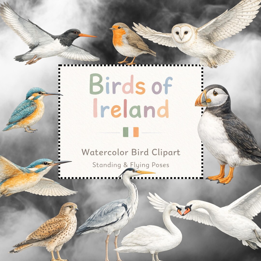 Birds of Ireland Clipart, Irish Birds Watercolor PNG, Standing and ...