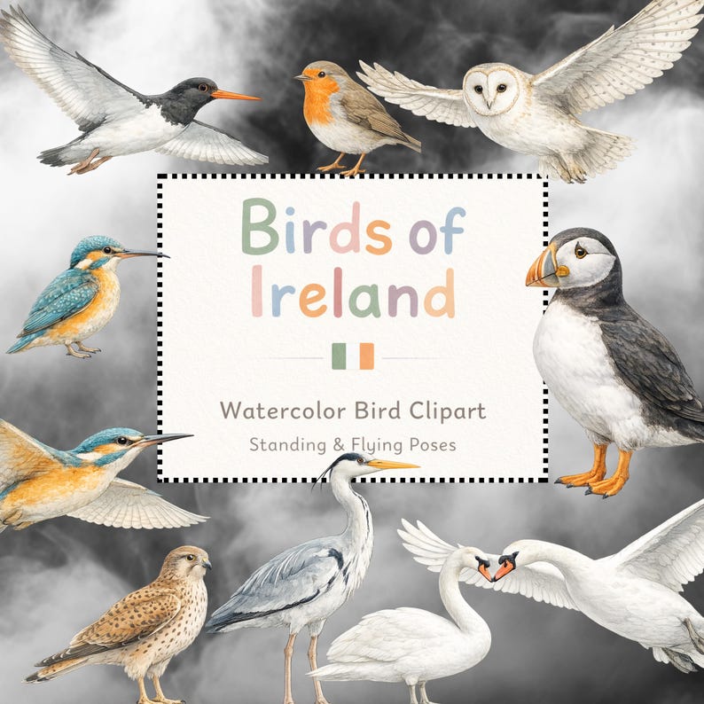 Birds of Ireland Clipart, Irish Birds Watercolor PNG, Standing and ...