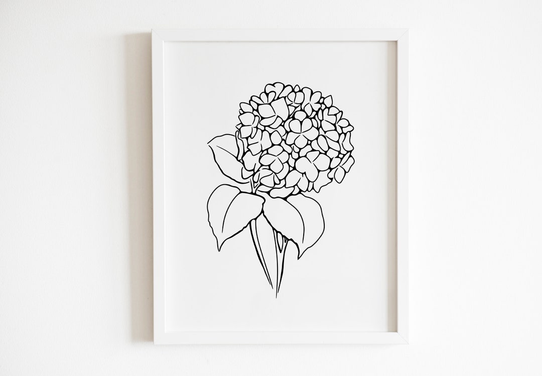 Line Art, Flower Line Drawing, Hydrangea Line Drawing, Flowers ...