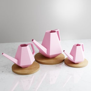 ZENFLOW Watering Can for Houseplants, Flowers, and Succulents | Modern ...