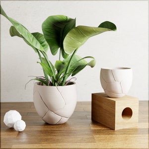 Artistic Planter "quake" - Dynamic Design - Original and Striking Decor ...