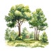 10 Forest Tree Clip Art Printable Watercolor Forest Tree Jpgs High ...