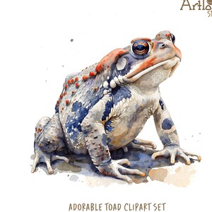 10 Adorable Toad Clip Art Printable Watercolor Adorable Toads High ...