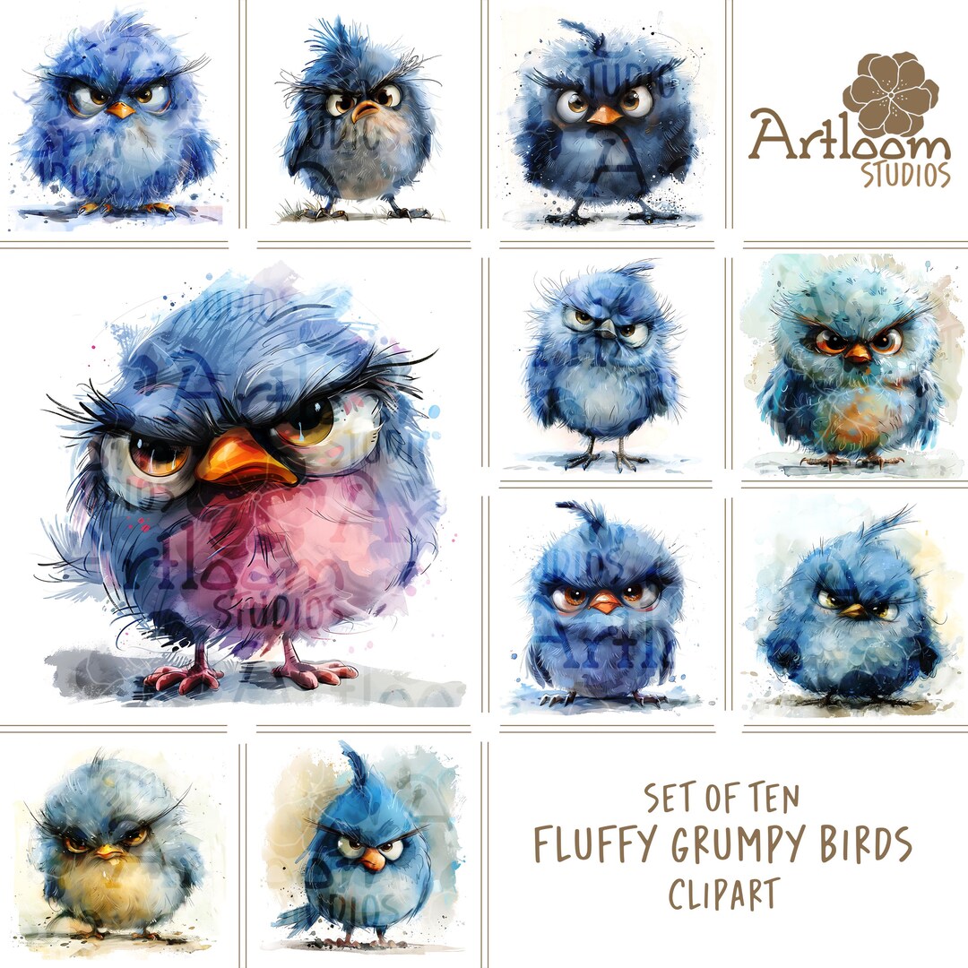 10 Fluffy Grumpy Birds Couple Clip Art Printable Cute Birds Jpgs High ...