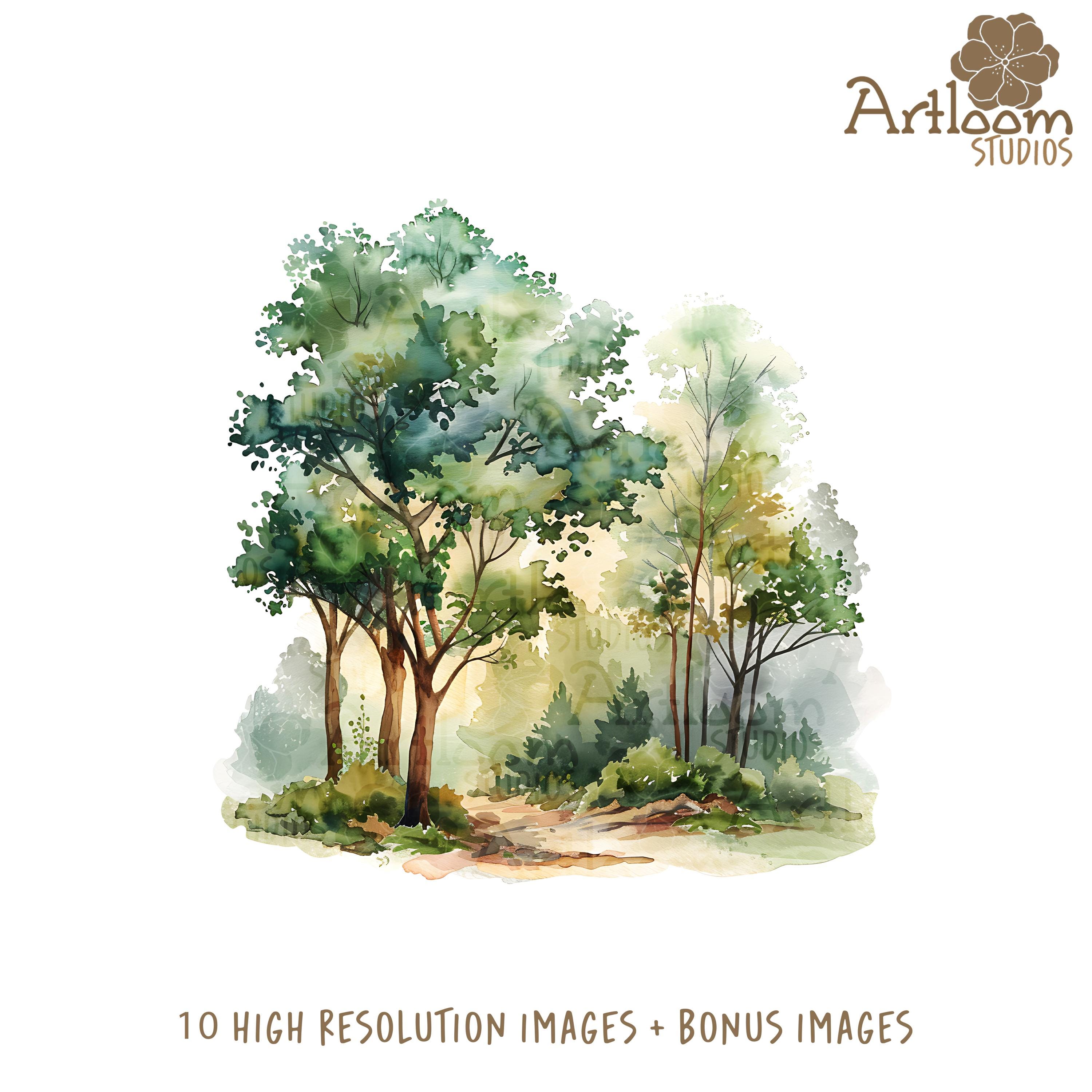 10 Forest Tree Clip Art Printable Watercolor Forest Tree Jpgs High ...