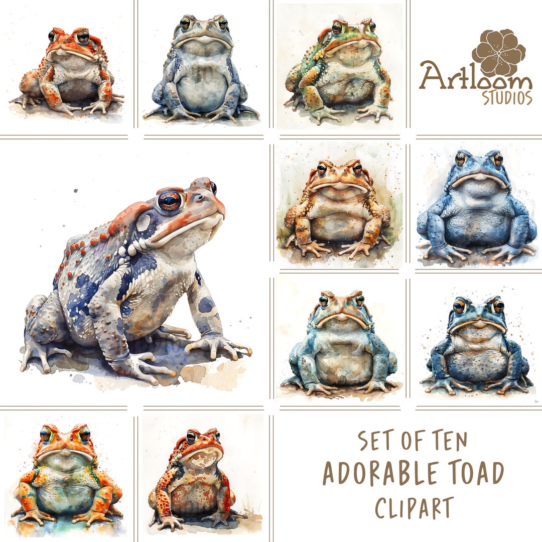 10 Adorable Toad Clip Art Printable Watercolor Adorable Toads High ...