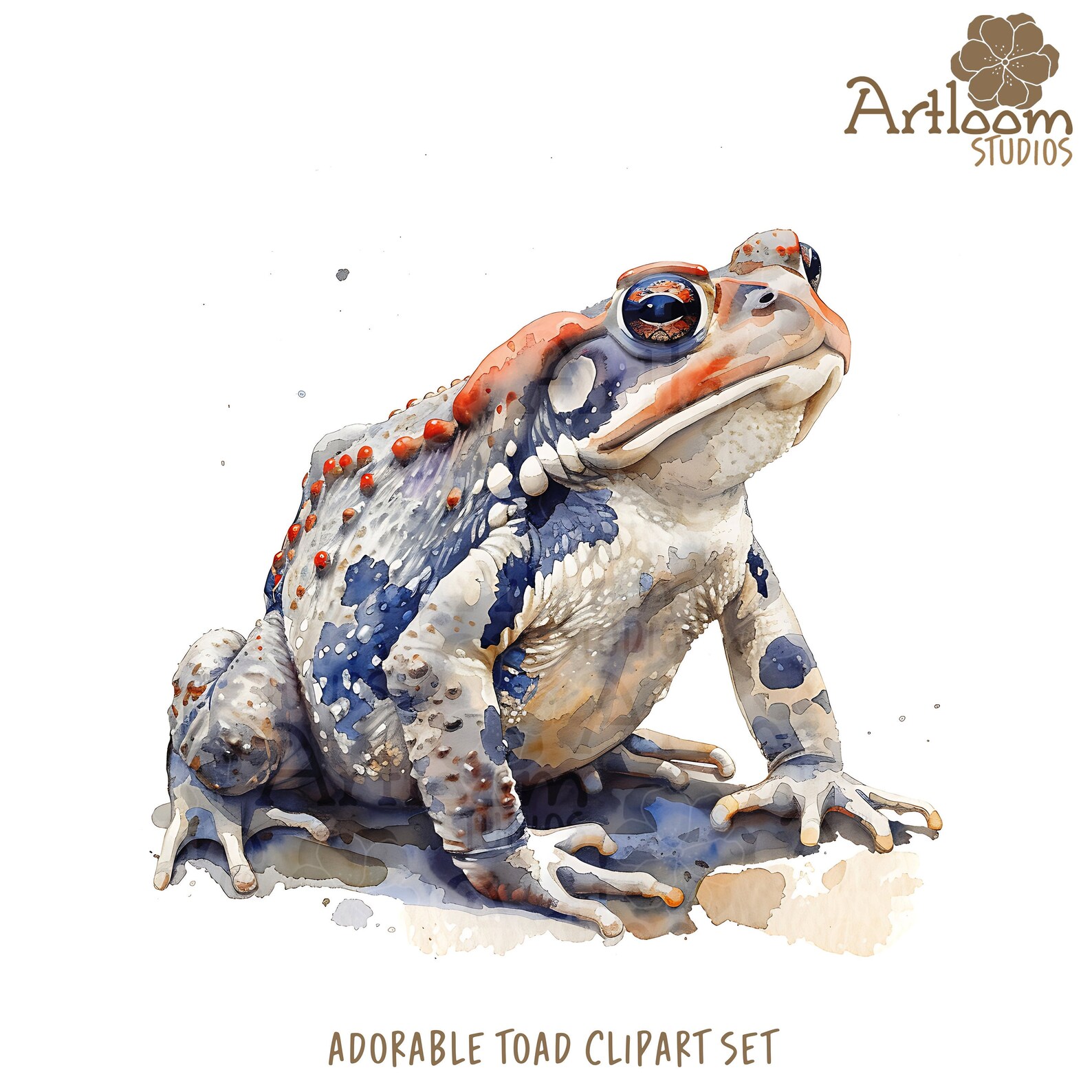 10 Adorable Toad Clip Art Printable Watercolor Adorable Toads High ...