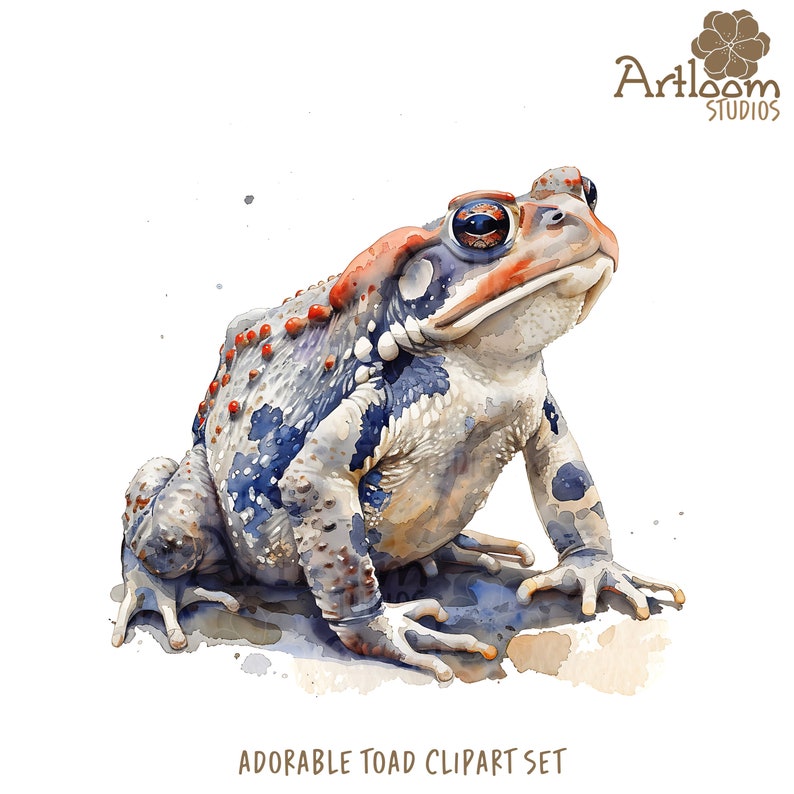 10 Adorable Toad Clip Art Printable Watercolor Adorable Toads High ...