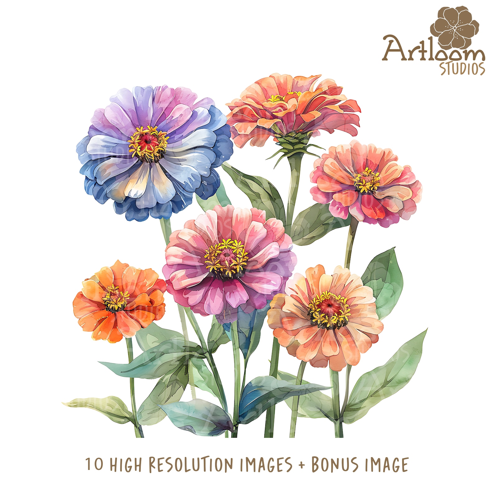 10 Zinnia Flower Clip Art Printable Watercolor Zinnia Flower Images ...