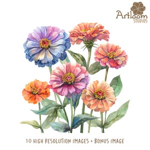 10 Zinnia Flower Clip Art Printable Watercolor Zinnia Flower Images ...