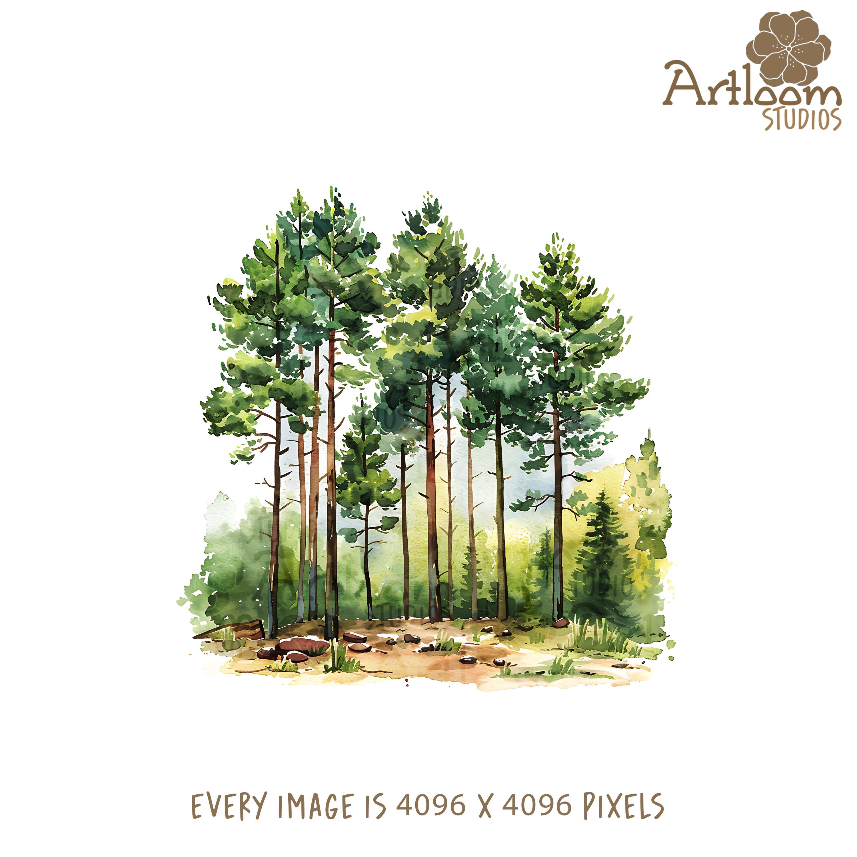 10 Forest Tree Clip Art Printable Watercolor Forest Tree Jpgs High ...