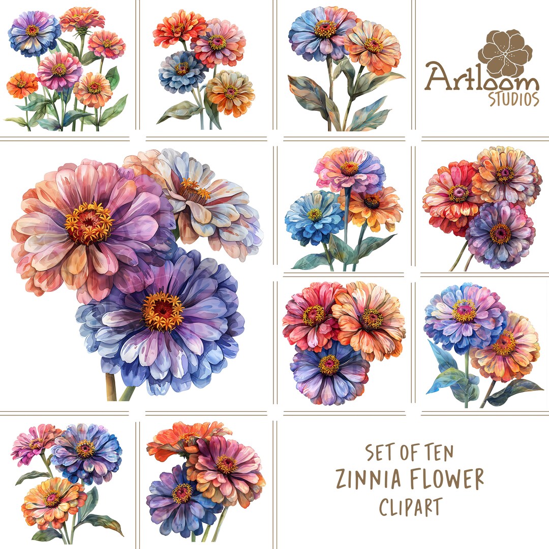 10 Zinnia Flower Clip Art Printable Watercolor Zinnia Flower Images ...