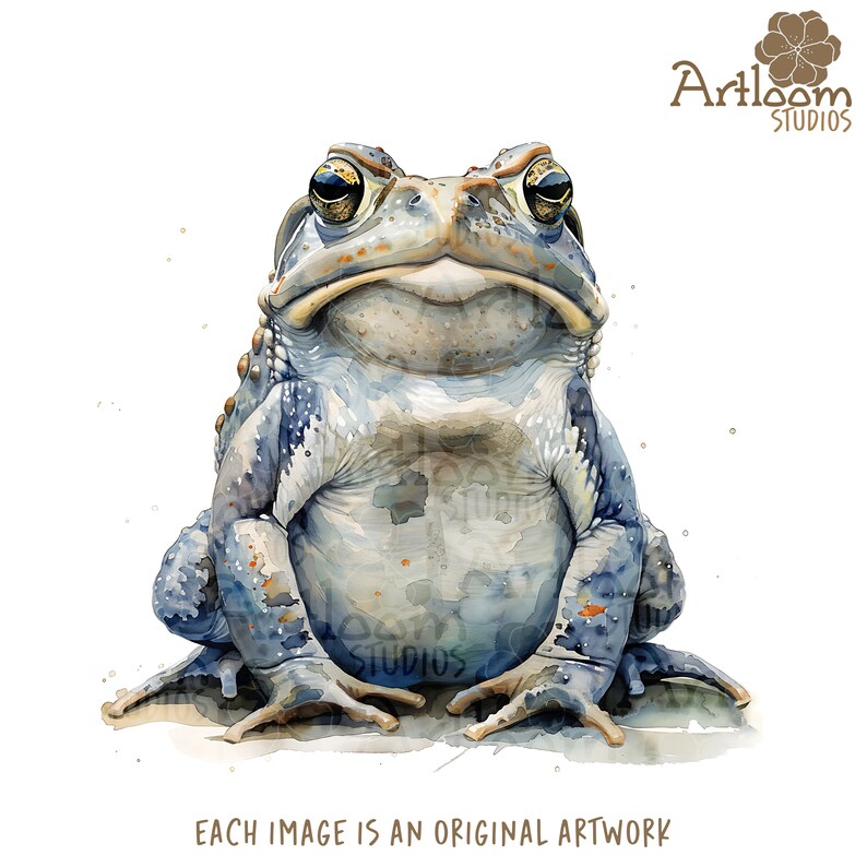 10 Adorable Toad Clip Art Printable Watercolor Adorable Toads High ...