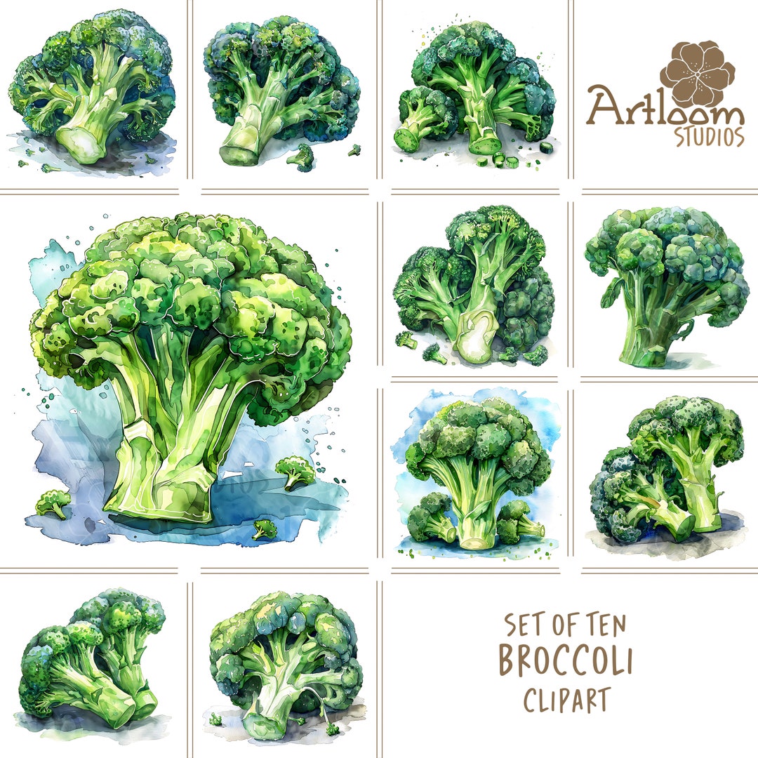 10 Broccoli Clip Art Printable Watercolor Broccoli Images High-quality ...