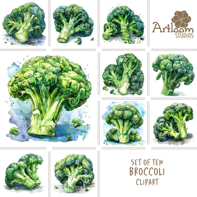 10 Broccoli Clip Art Printable Watercolor Broccoli Images High-quality ...