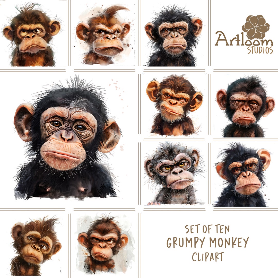 10 Grumpy Monkey Clip Art Printable Watercolor Grumpy Monkey JPG High ...