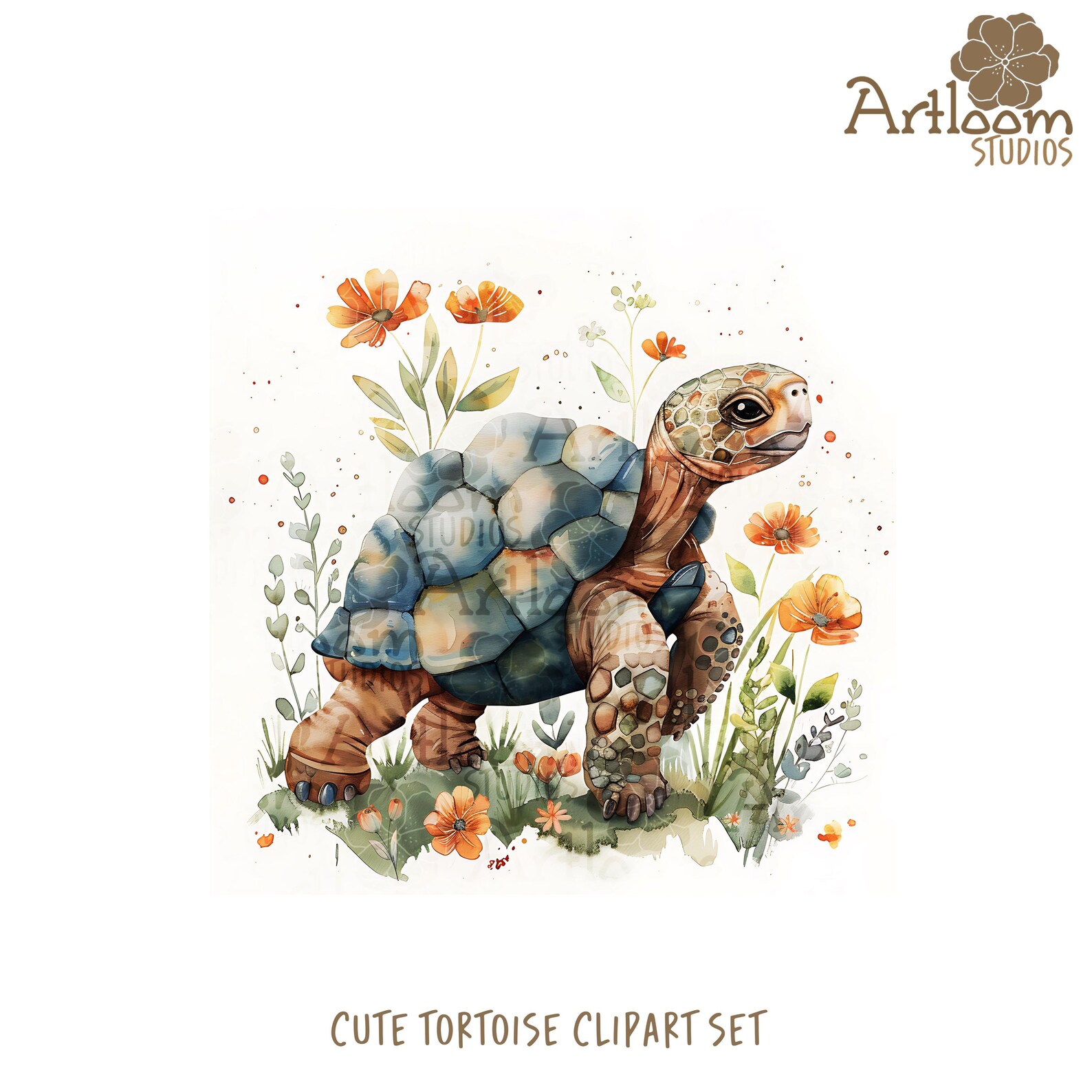 10 Cute Tortoise Clip Art Printable Watercolor Cute Tortoise Jpgs High ...