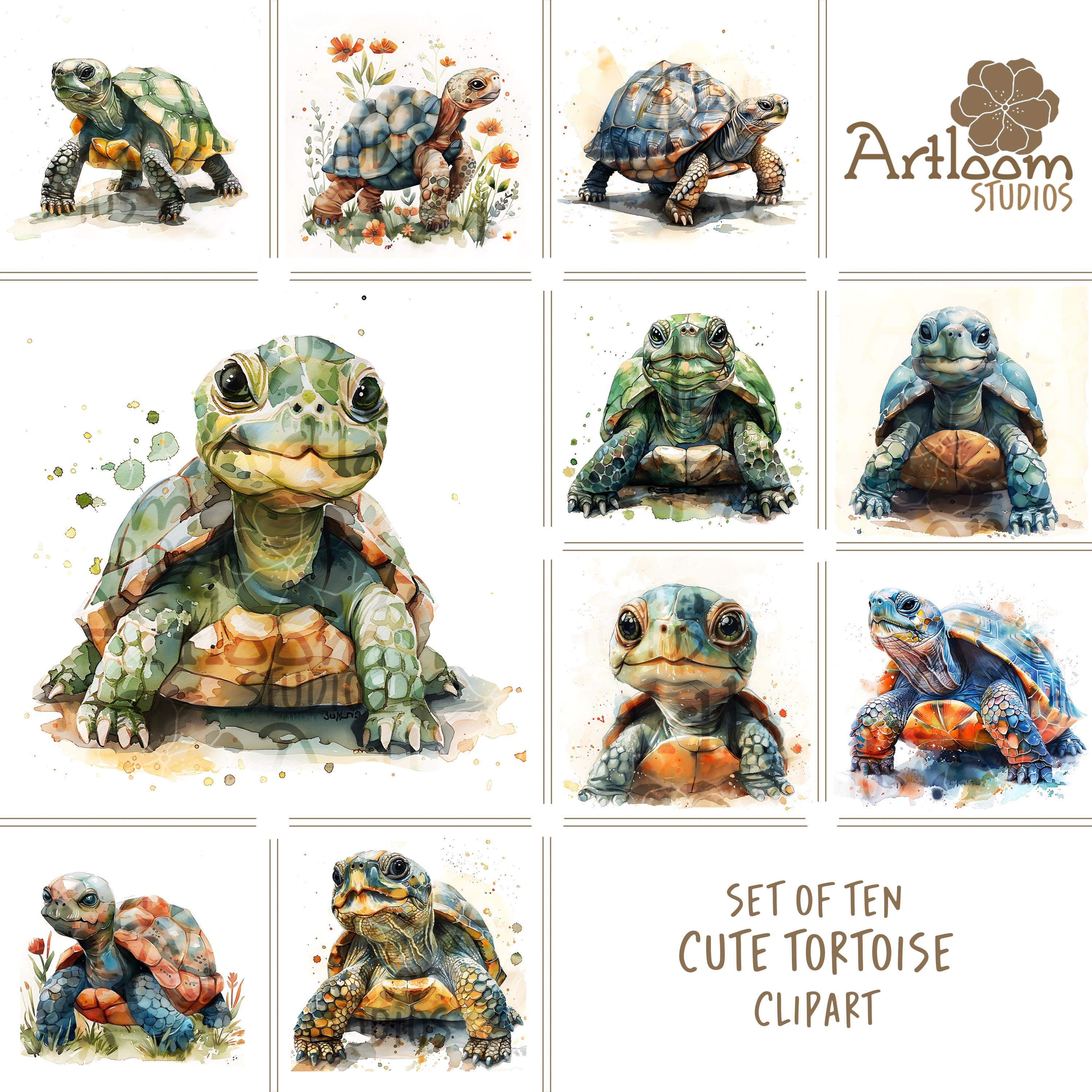 10 Cute Tortoise Clip Art Printable Watercolor Cute Tortoise Jpgs High ...