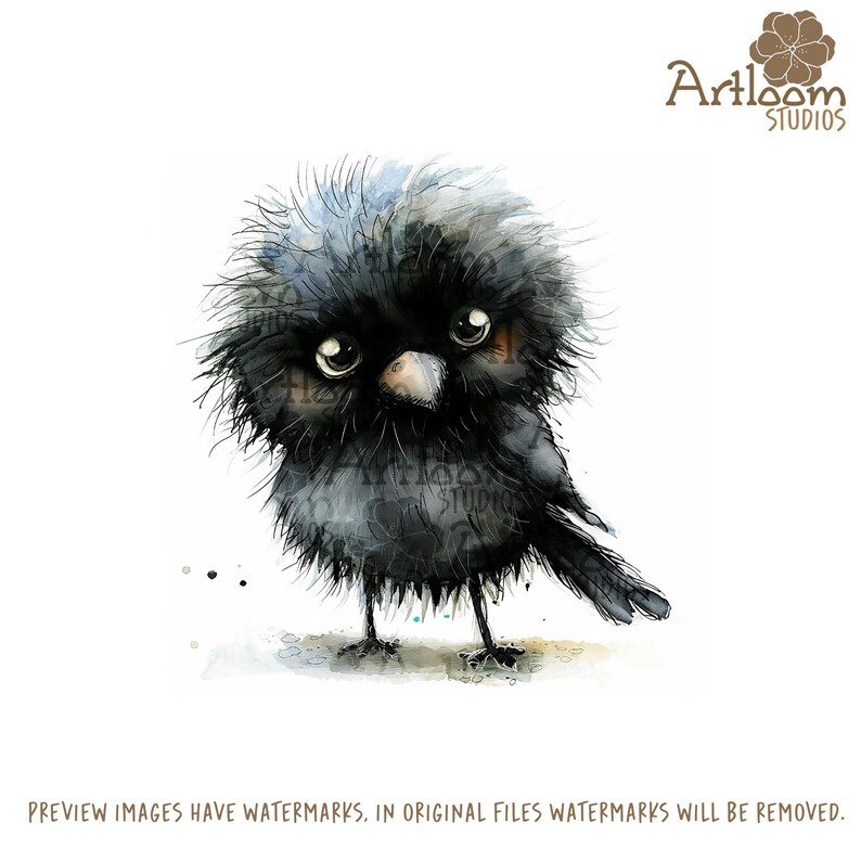 10 Fluffy Crow Clip Art Printable Watercolor Fluffy Cute Crow Jpgs High ...