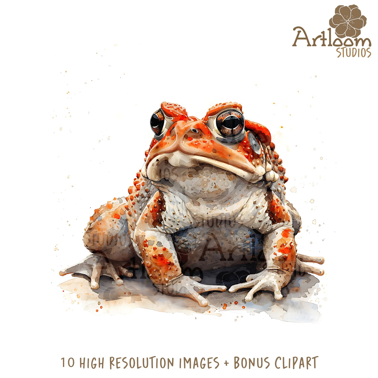 10 Adorable Toad Clip Art Printable Watercolor Adorable Toads High ...