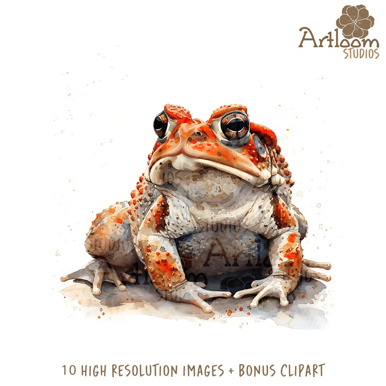 10 Adorable Toad Clip Art Printable Watercolor Adorable Toads High ...