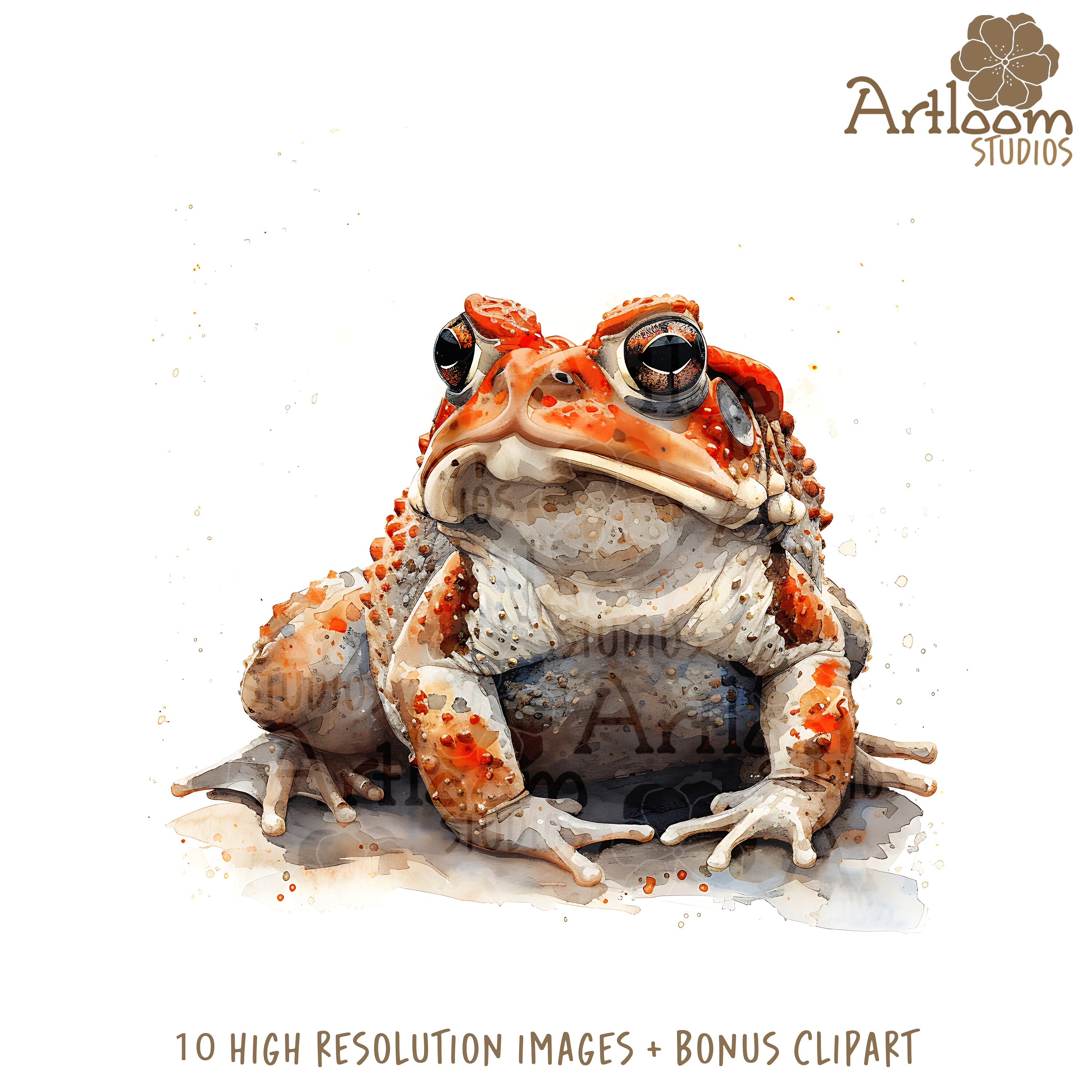 10 Adorable Toad Clip Art Printable Watercolor Adorable Toads High ...