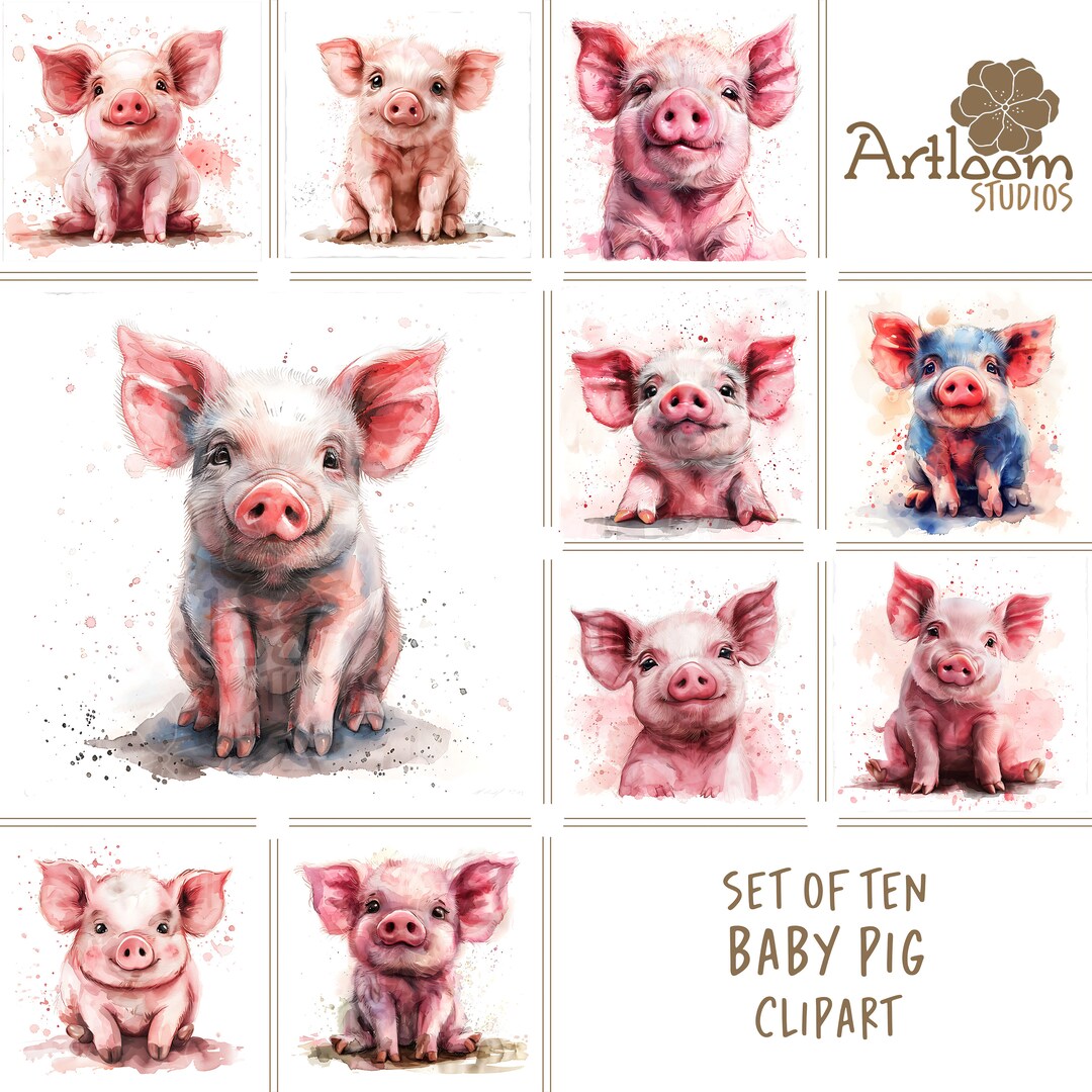 10 Baby Pig Clip Art Printable Watercolor Baby Pig Images High-quality ...