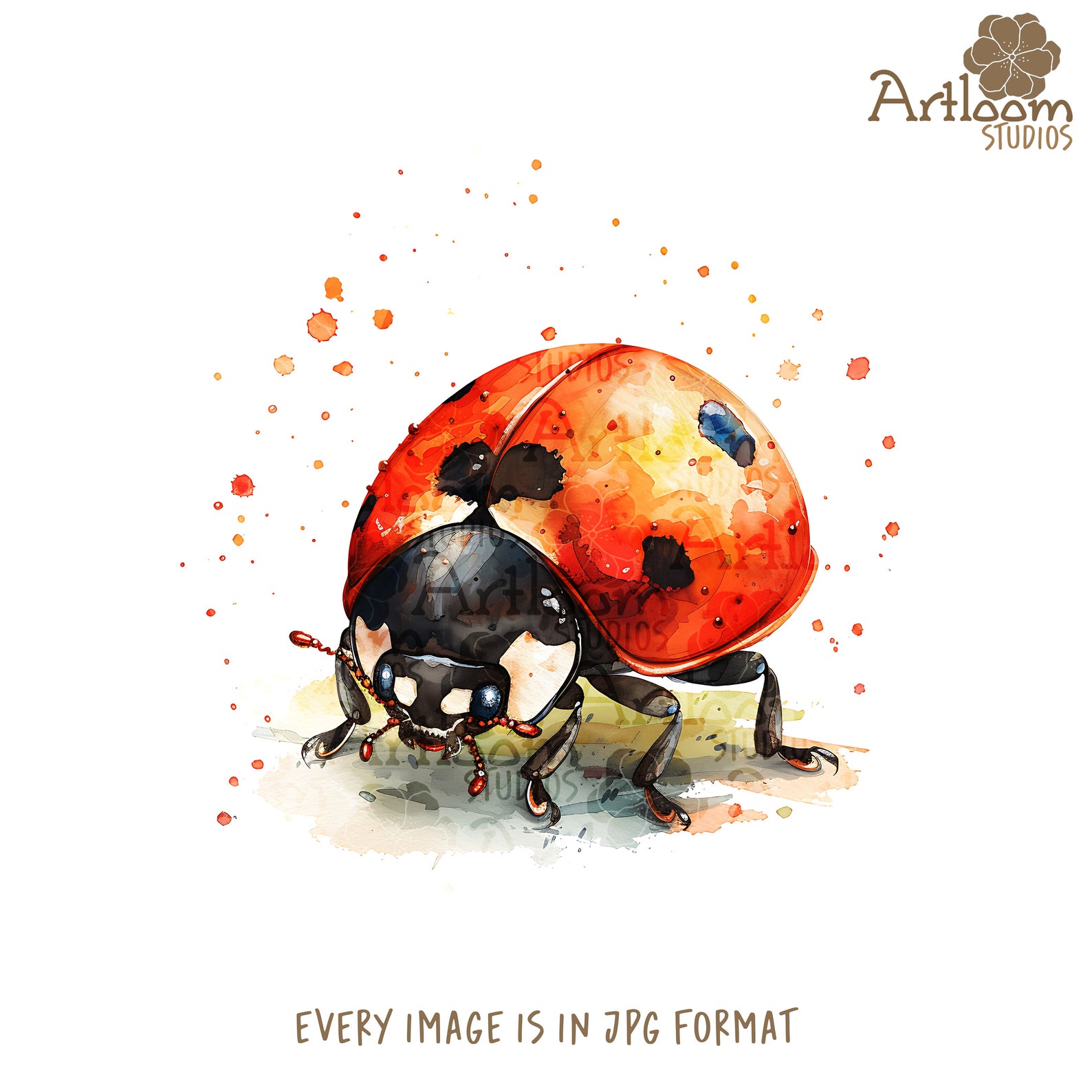 10 Watercolor Cute Ladybug Clip Art Printable Cute Ladybug Jpgs High ...