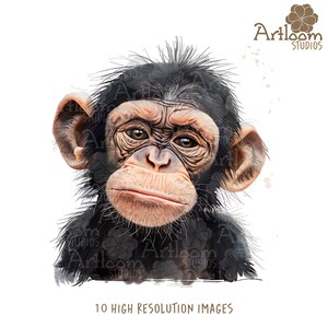 10 Grumpy Monkey Clip Art Printable Watercolor Grumpy Monkey JPG High ...