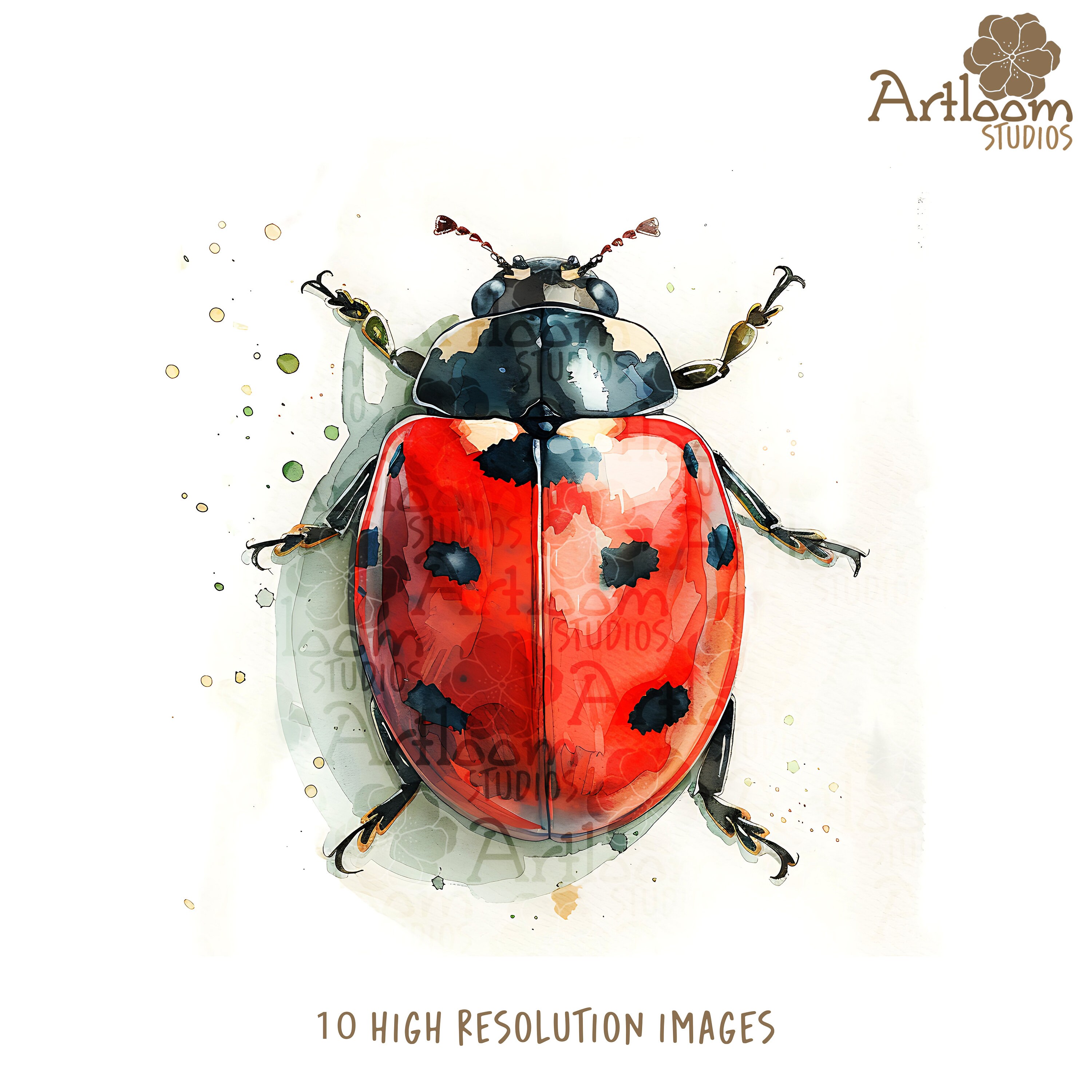 10 Watercolor Cute Ladybug Clip Art Printable Cute Ladybug Jpgs High ...