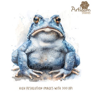 10 Adorable Toad Clip Art Printable Watercolor Adorable Toads High ...