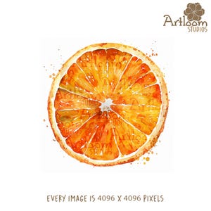 10 Watercolor Orange Slice Clip Art Printable Oranges Images High ...