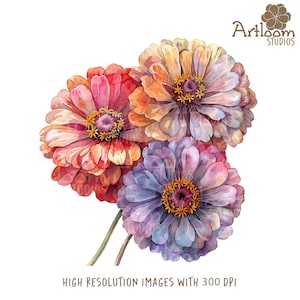 10 Zinnia Flower Clip Art Printable Watercolor Zinnia Flower Images ...