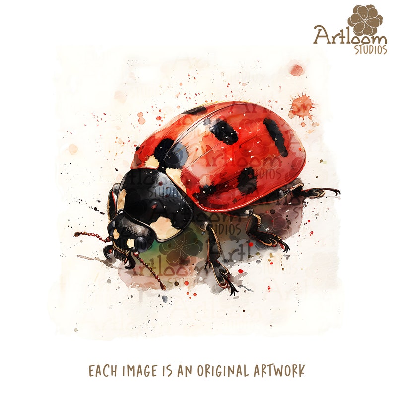 10 Watercolor Cute Ladybug Clip Art Printable Cute Ladybug Jpgs High ...