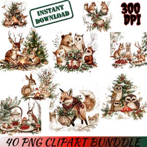 Woodland Creatures Christmas Clipart 40 Forest Animals, Deer, Foxes ...