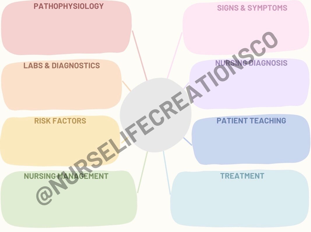 Colorful Nursing Concept Map for Study - Etsy