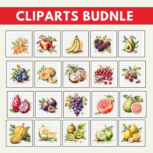 Fruits Clipart, Food Clipart PNG Bundle, 24 PNG Fruits Clipart Bundle ...