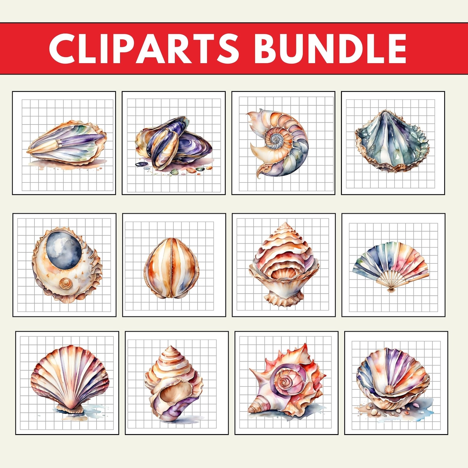 Seashell Clipart, Animal Clipart PNG Bundle, 44 PNG Seashell Clipart ...