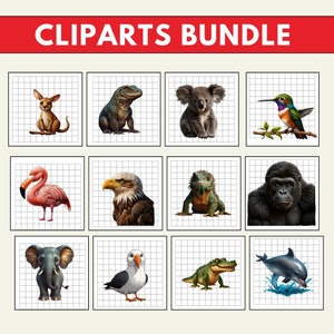 Cartoon Animal Clipart, Animal Clipart PNG Bundle, 24 PNG Cartoon ...