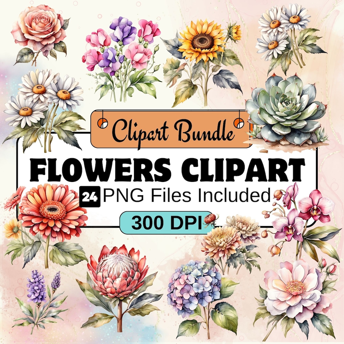 Flower Clipart, Flower Collection Clipart PNG Bundle, 24 PNG Flowers ...