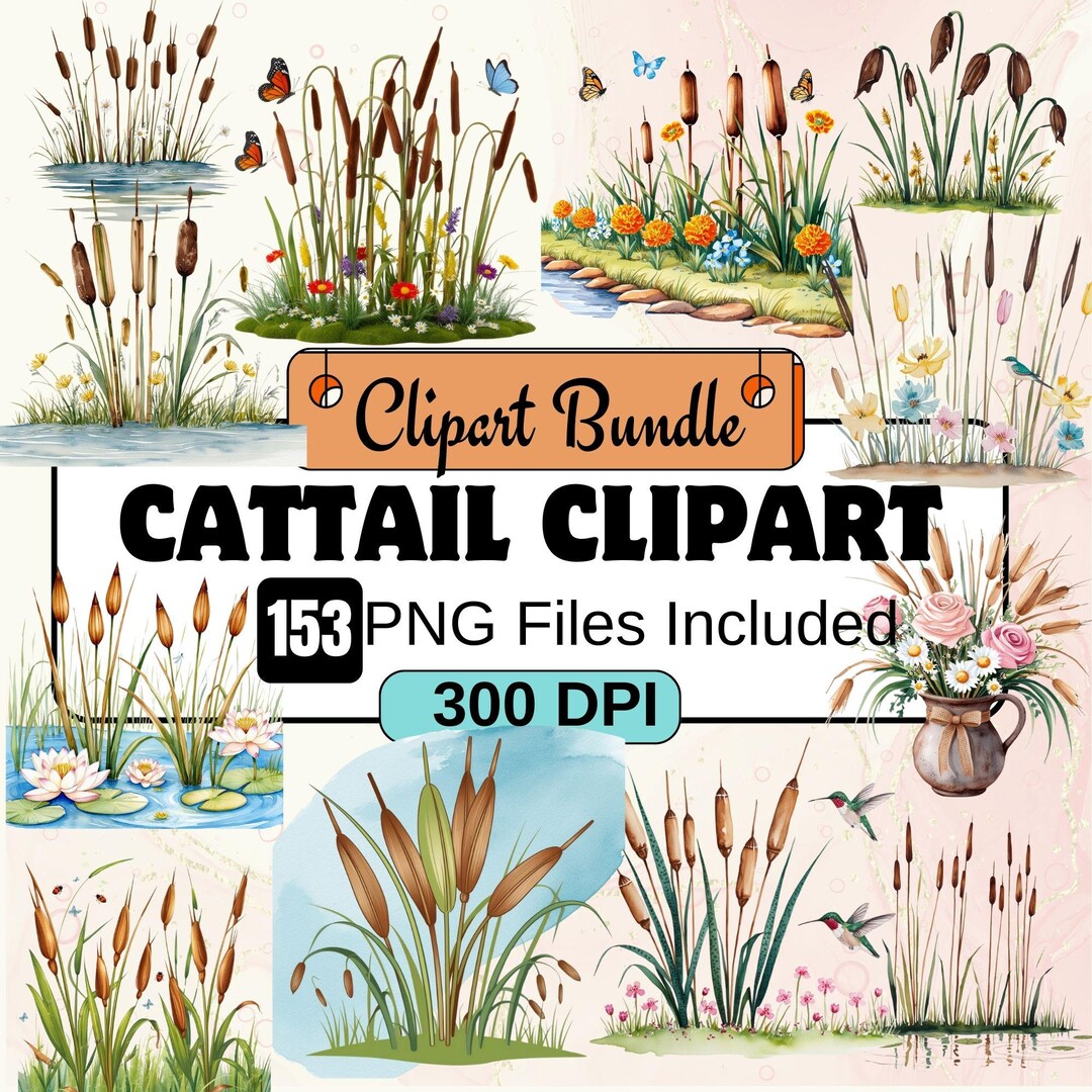 153 Clipart Cattail Grass Set,digital Download,marsh Cattail Reed Png ...