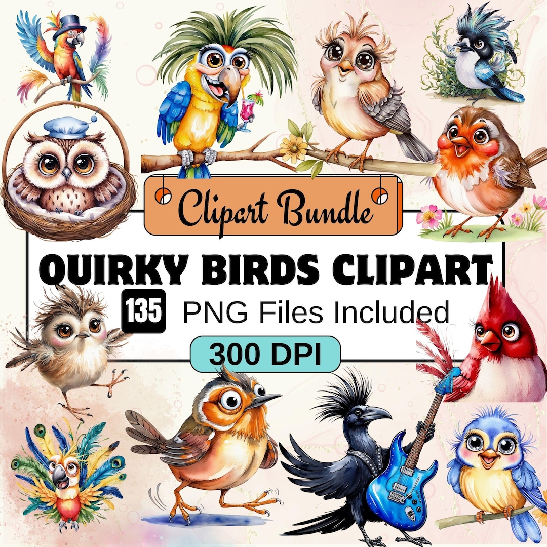 Quirky Birds Clipart,watercolor Birds Clipart PNG Bundle,135 PNG ...