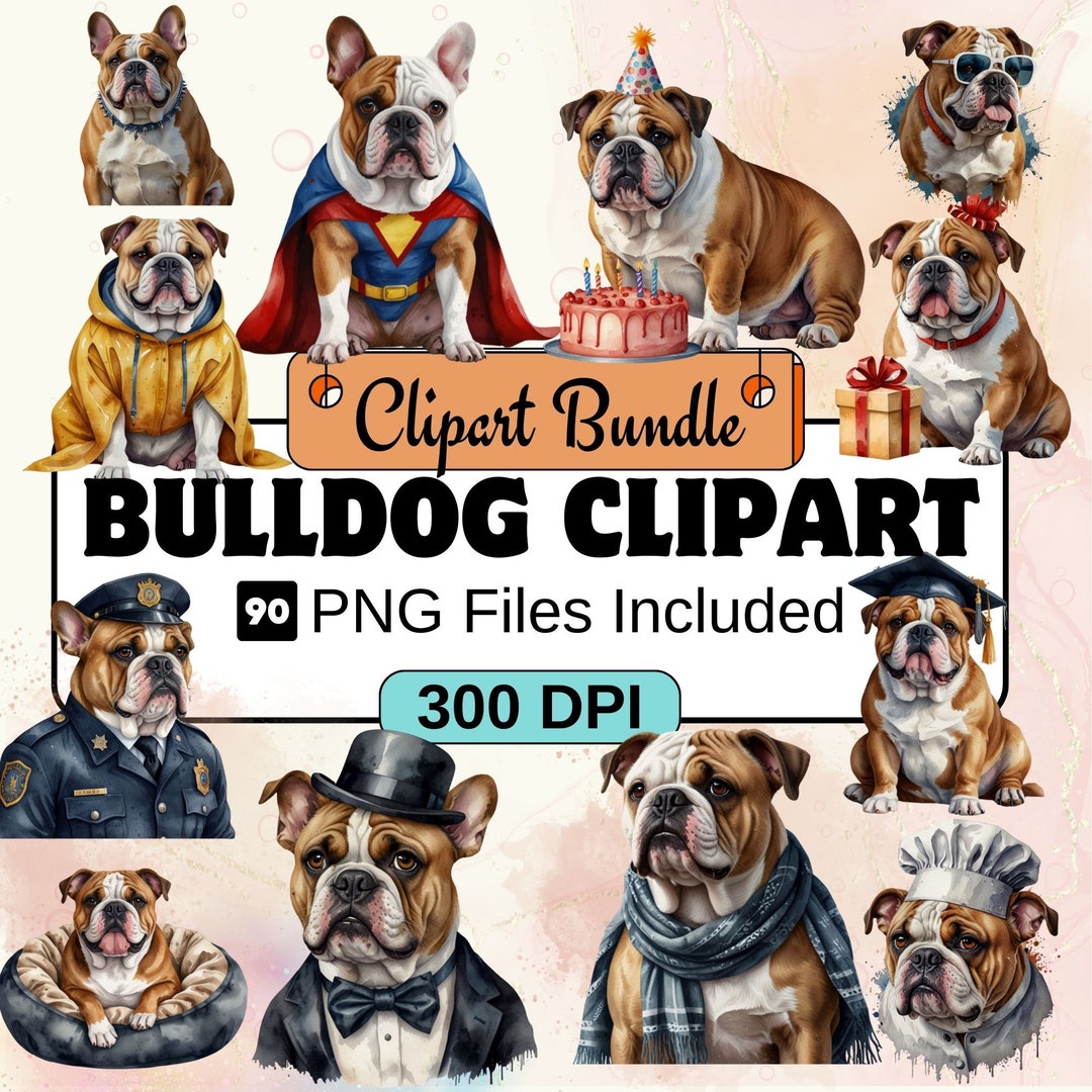 Bulldog Clipart, Dog Clipart PNG Bundle, 89 PNG Bulldog Clipart Bundle ...