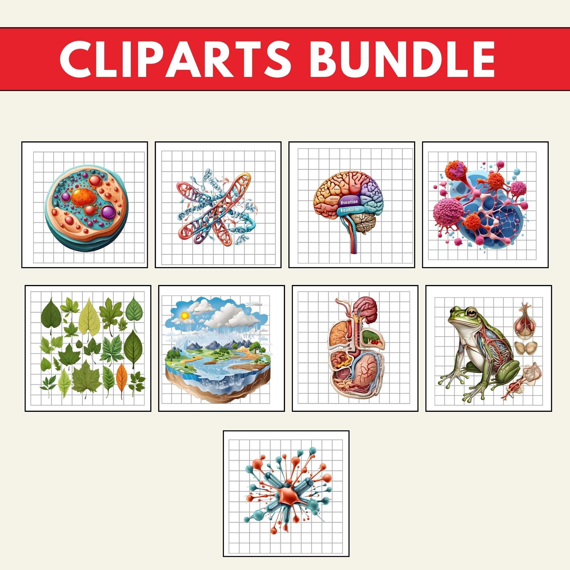 Biology Clipart, Study Clipart PNG Bundle, 24 PNG Biology Clipart ...